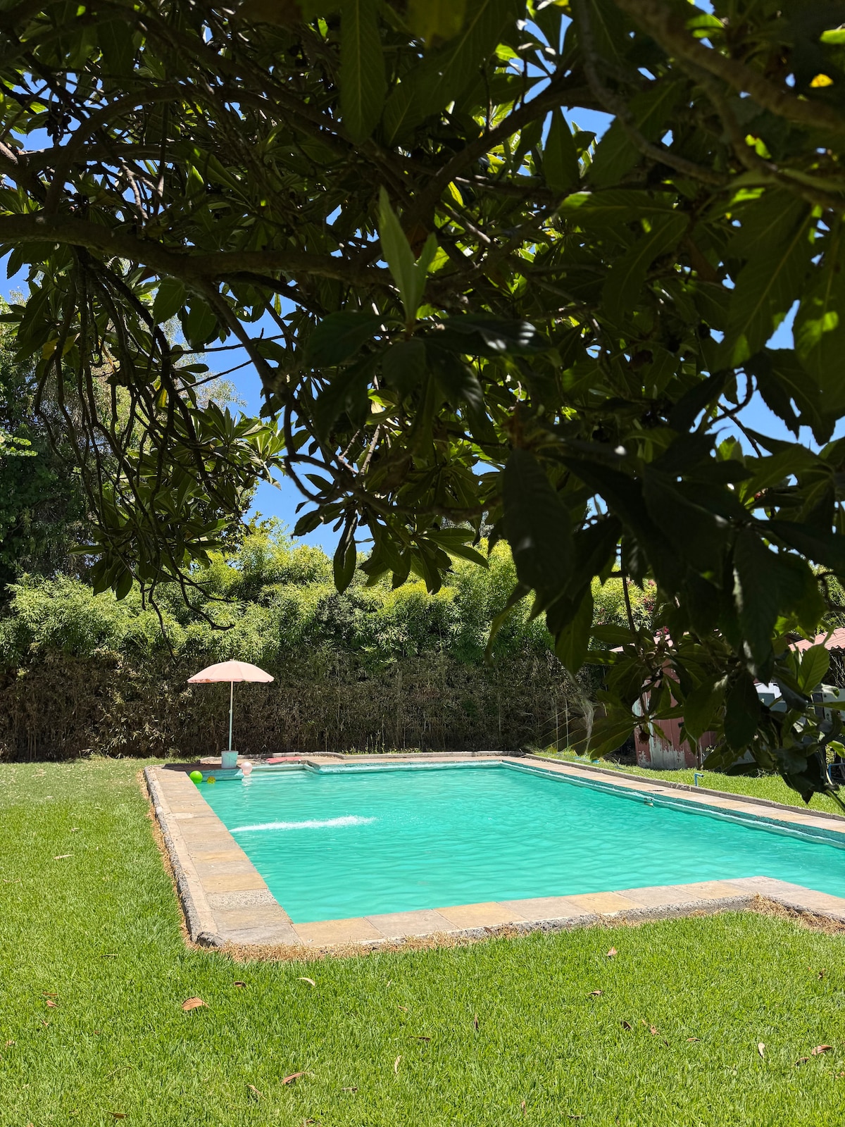 Hermosa cabaña rodeada de árboles con piscina - Cabañas en renta en ...