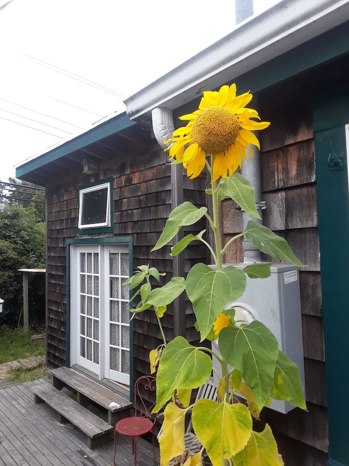 Classic Fi Beach Cottage With Private Sauna & Adu - Fire Island, NY