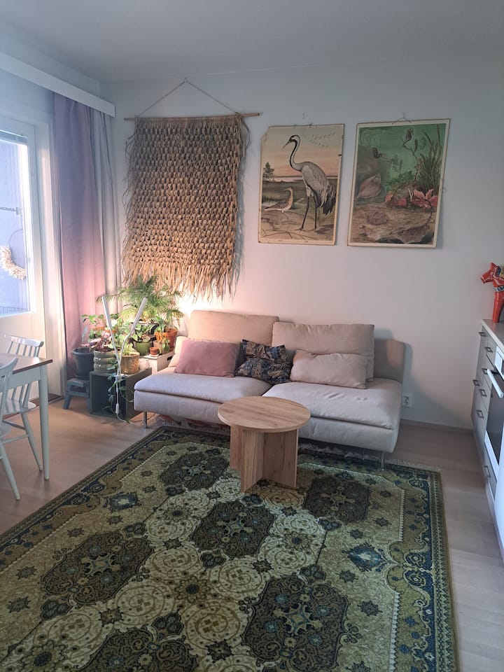 Cozy Two-room Apartment With Sauna In The City Center. - Joensuu
