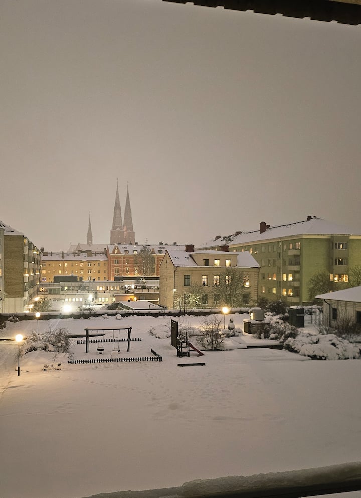 Centralt Boende Nära Till Allt - Uppsala