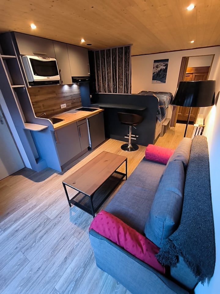 Studio Cosy Dans Un Village De Montagne - La Grave