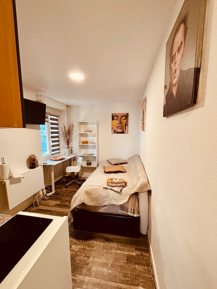 Votre Cocon Cosy, Parking Libre, Proche Genève - Archamps