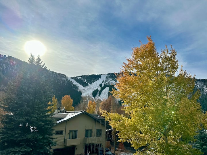 Large Warm Springs Oasis, 5 Br/5 Ba. 10 Beds! - Sun Valley, ID