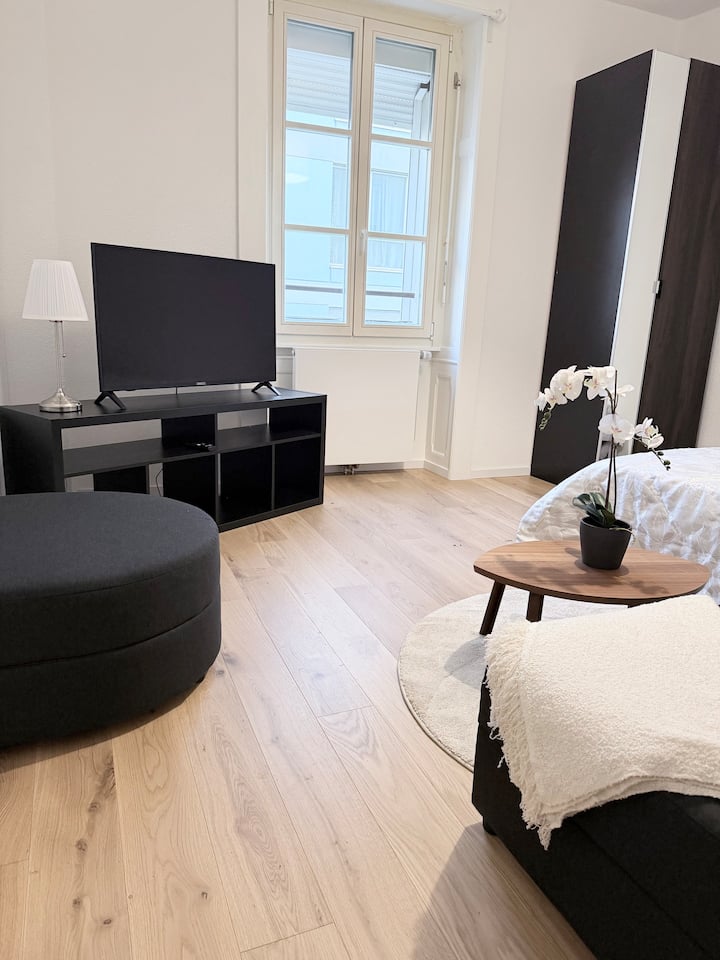 Appartement 2 Pièces Centre-ville - Ginebra