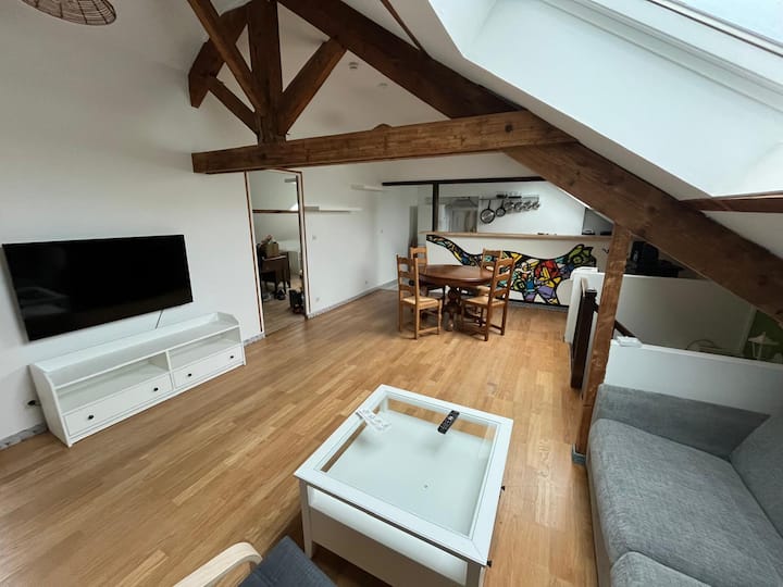Bel Appartement Lumineux Sous Les Toits - Reims