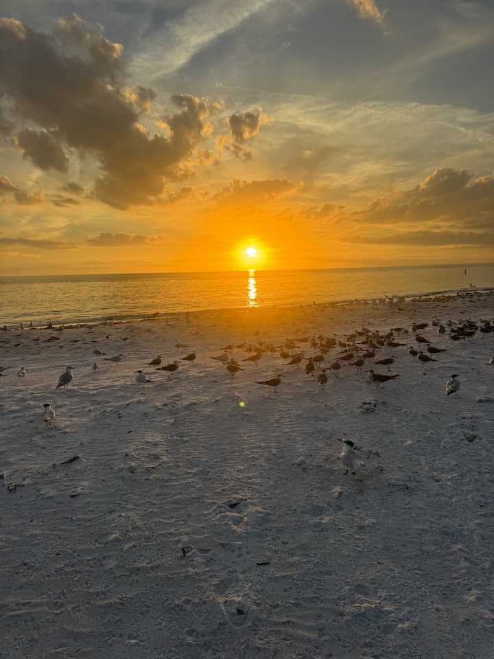 Longbeach #12 - Anna Maria Island, FL