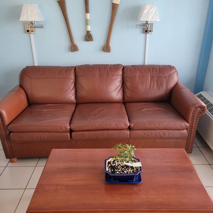 Amazing Seaview 1br/2ba, Kitchen, Jettub, Sleeps 4 - Daytona Beach, FL
