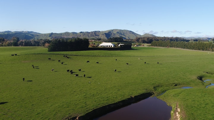 Killeigh House "Where Town Meets Country” - Martinborough