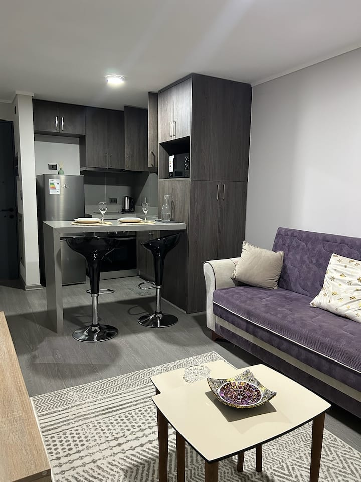 Departamento Moderno Céntrico Con Piscina - Chillan