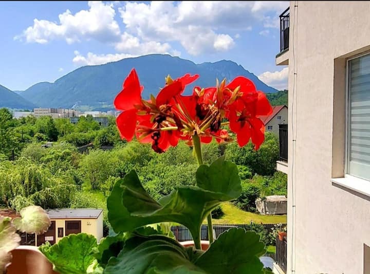 Mountainsview Apartament Selfcheck-in 24/7 - Zărnești