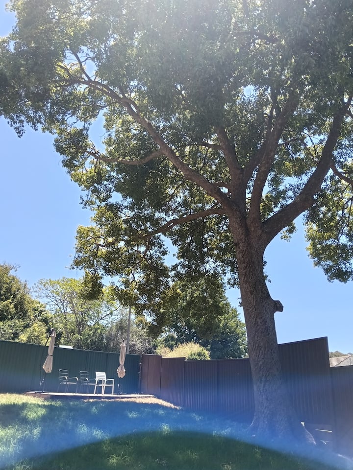 Rzb Half House - Castle Hill