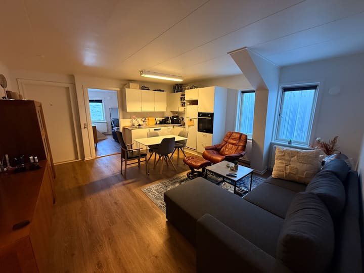 Comfortable Flat In Nuuk With Industrial Look - Greenland