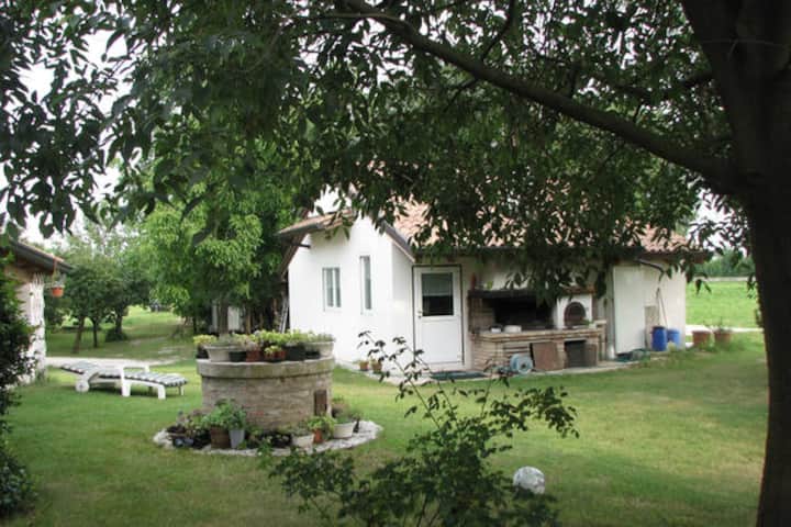 Near Treviso And Prosecco Area - Spresiano