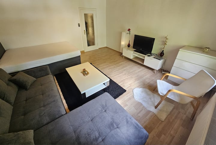 Big Apartment Mannheim Hbf Center University - Mannheim
