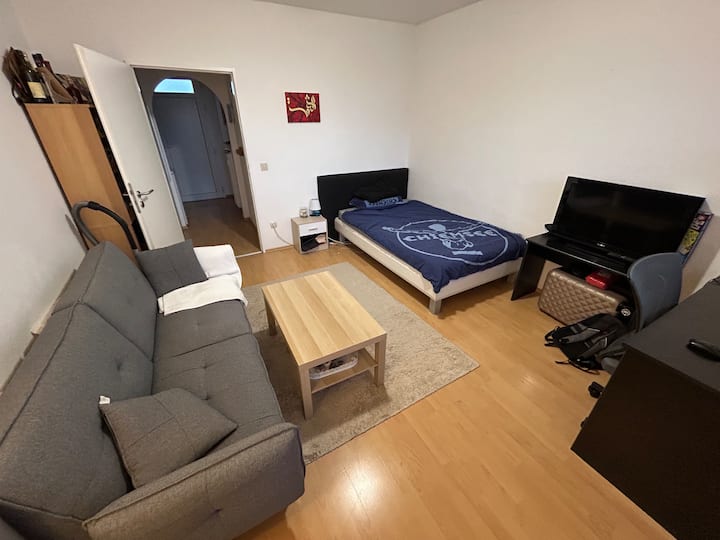 Unabhängige 1-zw Mit Sonnigem Süd-balkon - Erlangen