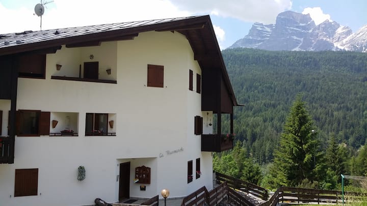 Borca Di Cadore Home - Borca di Cadore