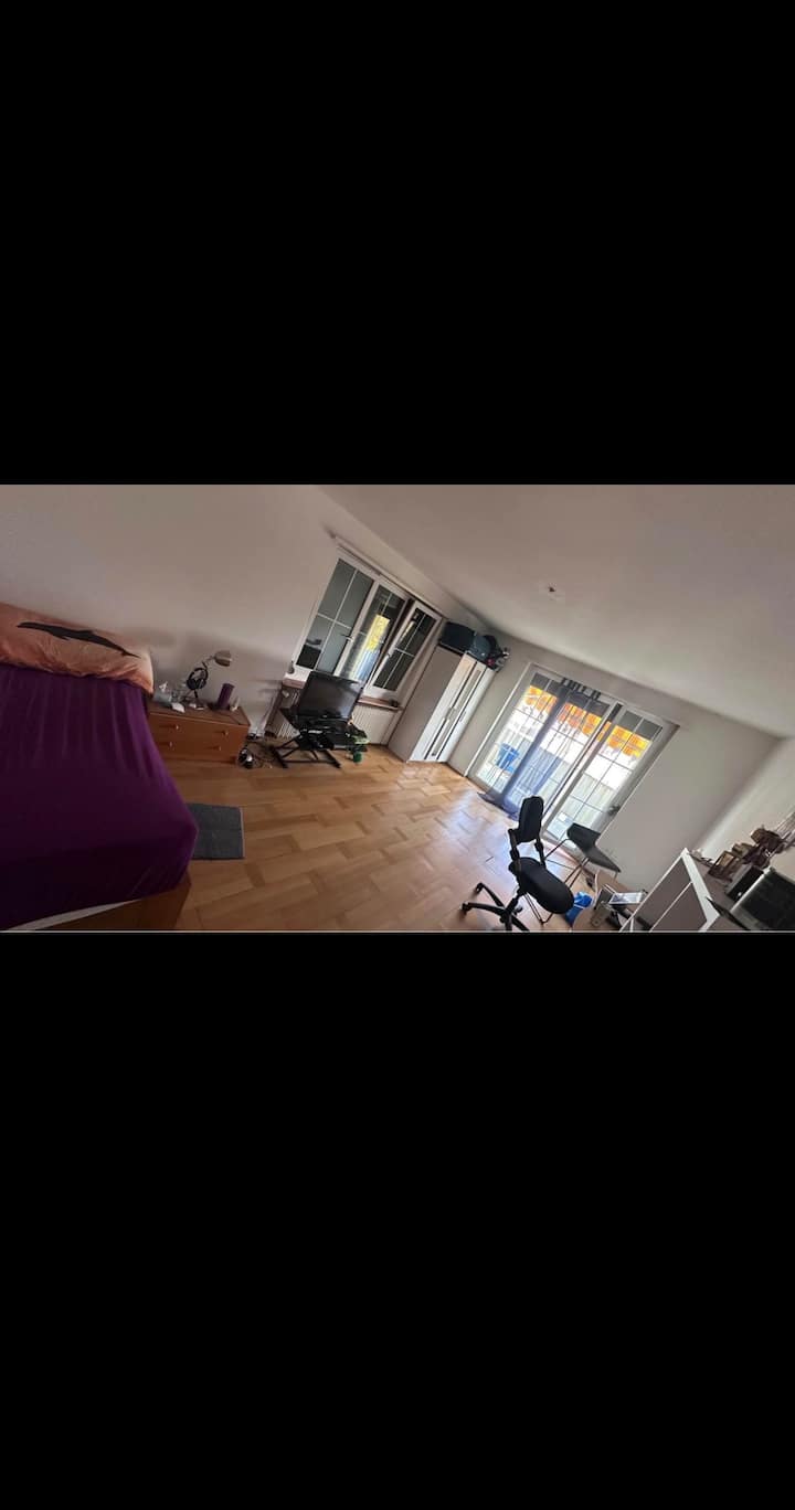 A Cozy, Warm Priv Room Near Zürich Center 10m - Zürich