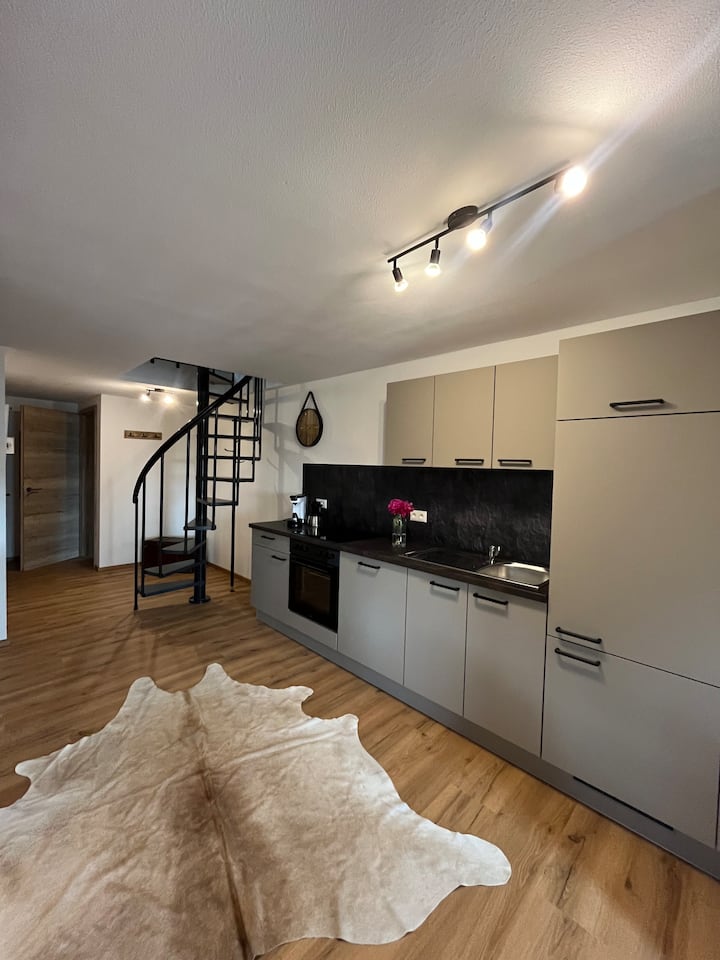 Ferienwohnung Apartment "Hanni" In Dillingen - Dillingen a.d. Donau