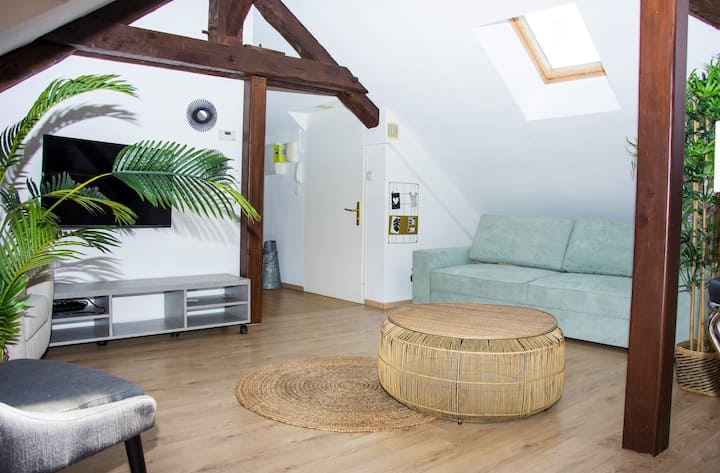 Appartement 2 Chambres Au Cœur De Montbéliard - Montbéliard