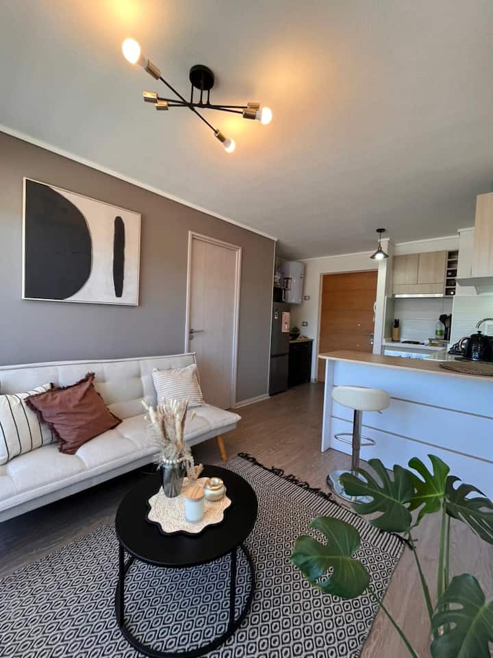 Increíble Departamento En El Corazón De Concepción - Chile