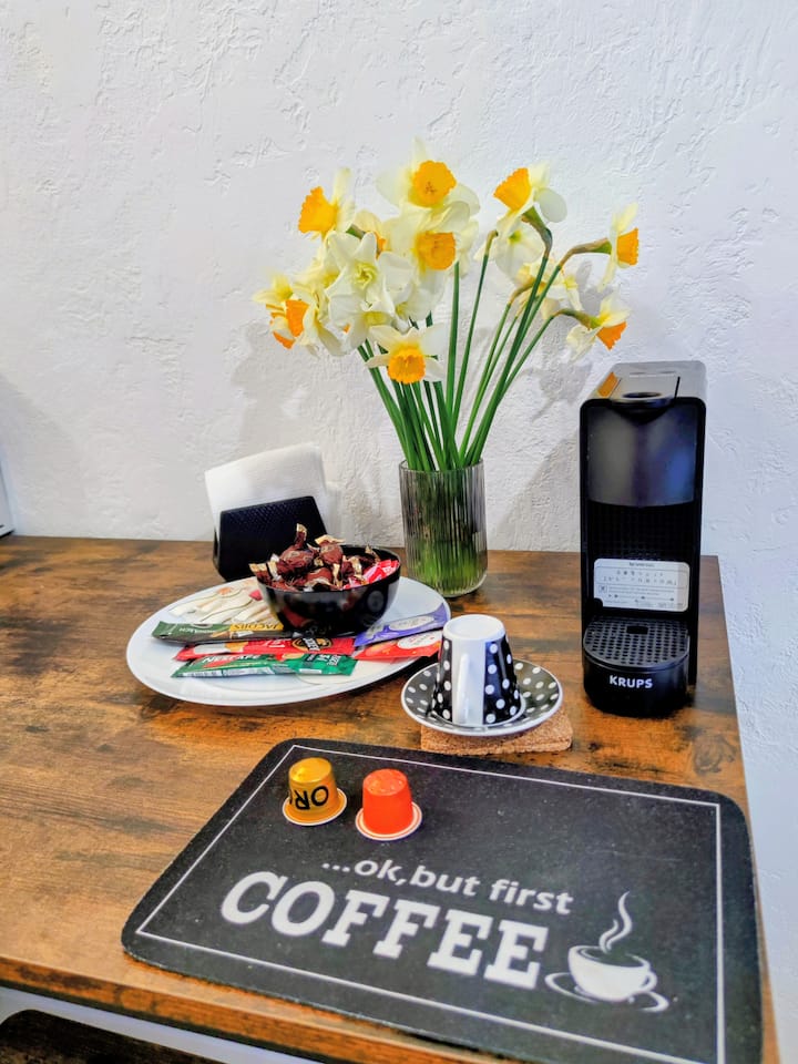 Maxsmart Scandi Loft Studio | Quiet Center - Chisinau