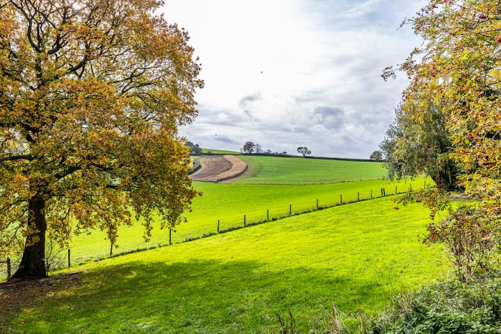 Idyllic Countryside Cottage With Woodland Views - Southwell