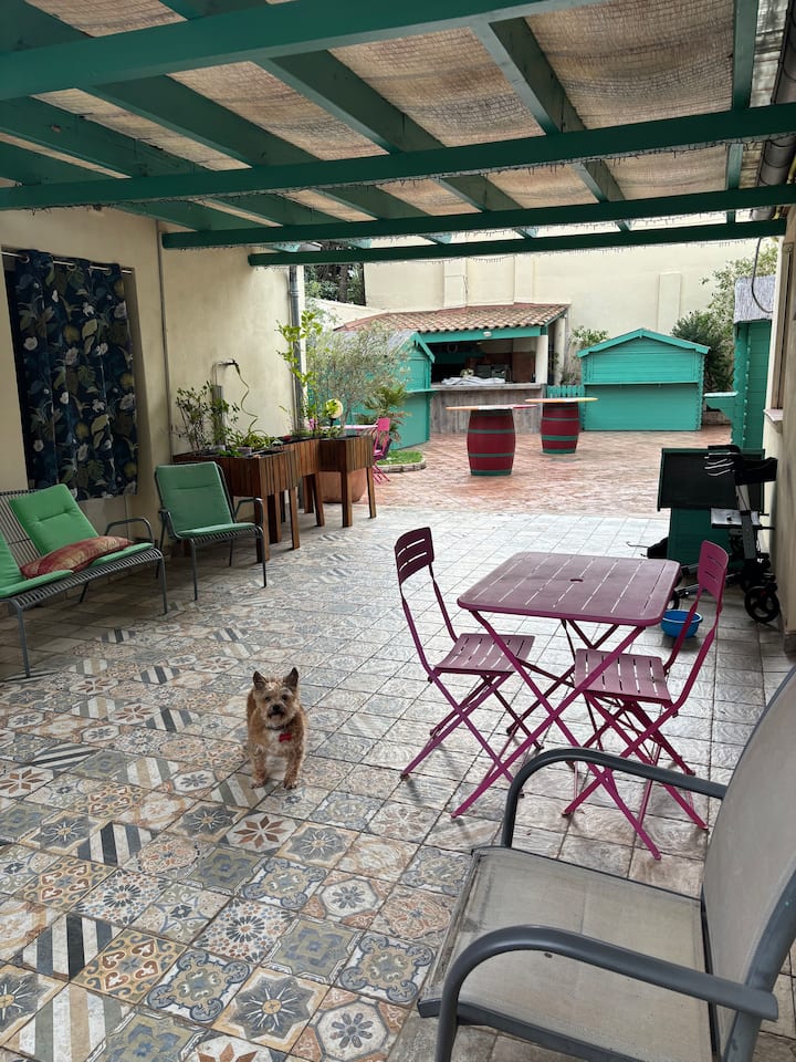 Les Etangs ! Un Havre De Paix En Pleine Ville. - Narbonne