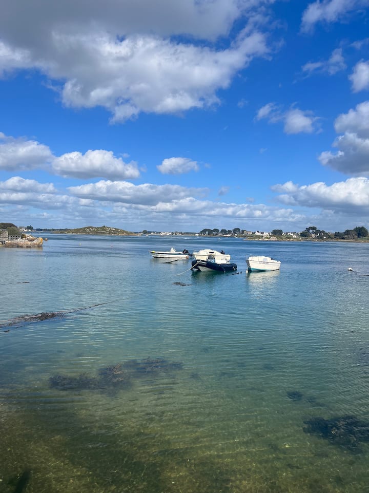 Maison 2 Pas De La Mer 4/5 Personnes - Riantec