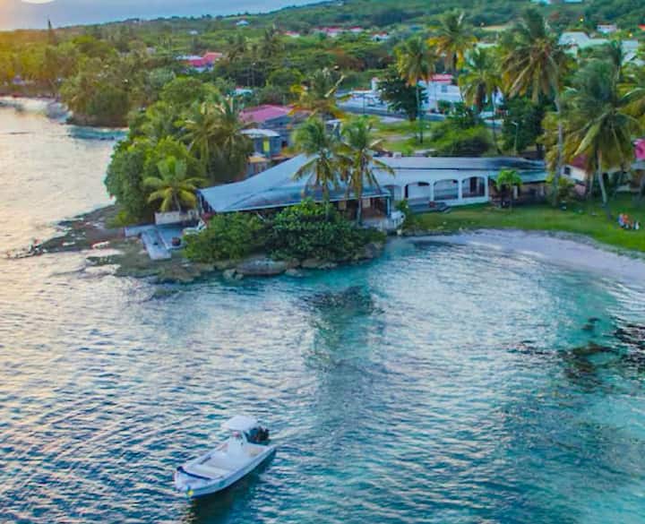 Sur La Plage Villa Cycas 6 Pers. (8 Sur Demande) - Marie-Galante