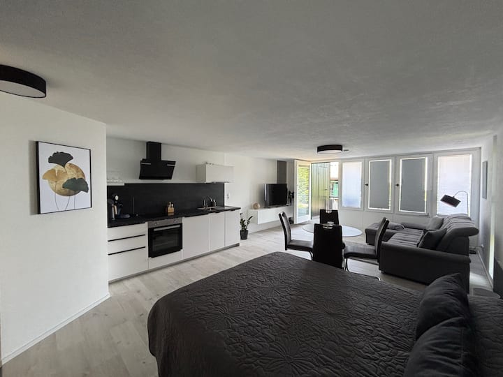 Modernes Airbnb Im Erdgeschoss Mit Wifi, Pool Etc. - Seebach