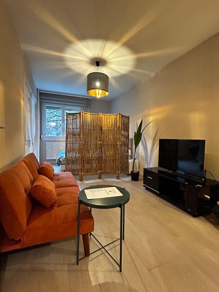 Studio Rénové /Parking Privé. Centre Ville - Clermont-Ferrand