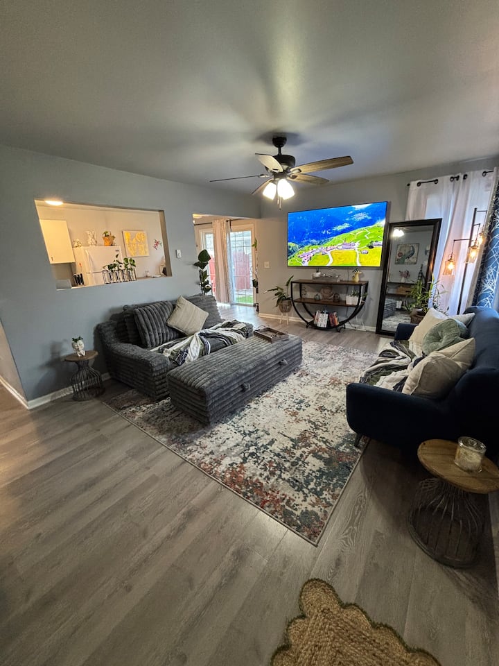 Fun Downtown Aurora Home, Wf, 2 Bd, 2ba, Smart Tv - Phillips Park Zoo, Aurora