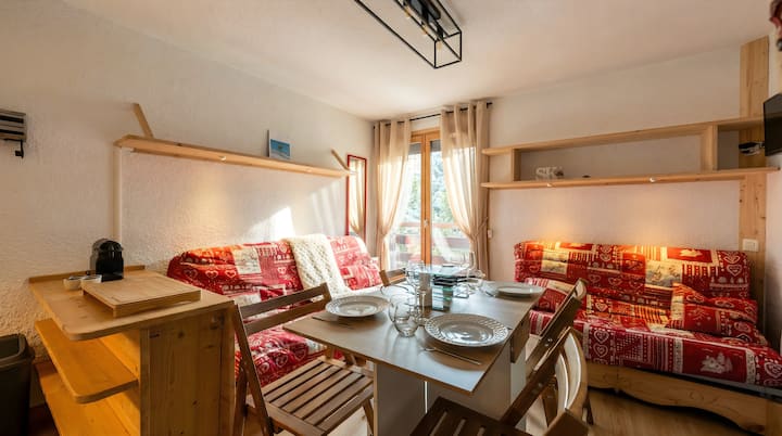 Le Roche Mantel | 100m Jandri Et Des Pistes, Wifi - Les Deux Alpes