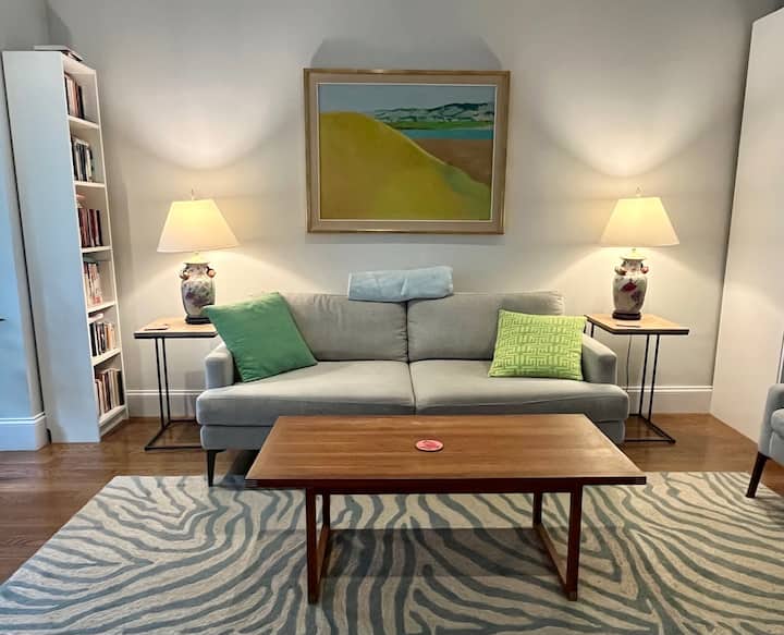 Fabulous Modern Condo - Somerville, MA