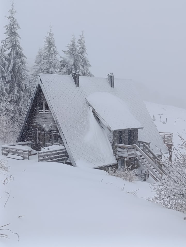 Chalet Husky - Chastreix