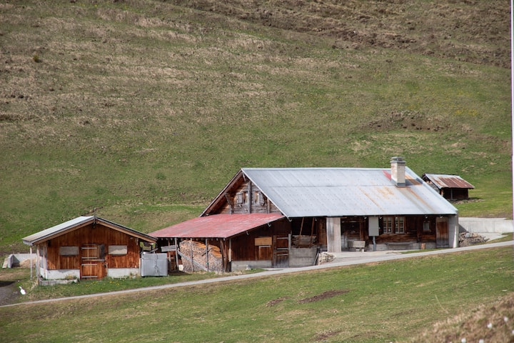 Alphütte Mitten Im Wandergebiet Hasliberg Balisalp - Hasliberg