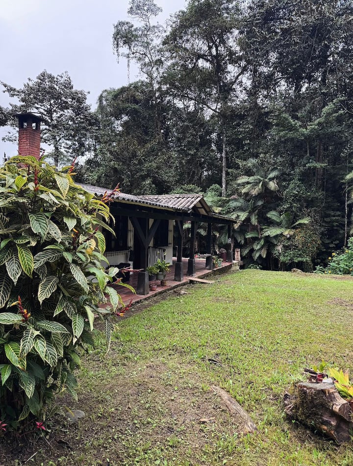 Finca Neblina Del Bosque (Cerca A Dapa) - La Cumbre
