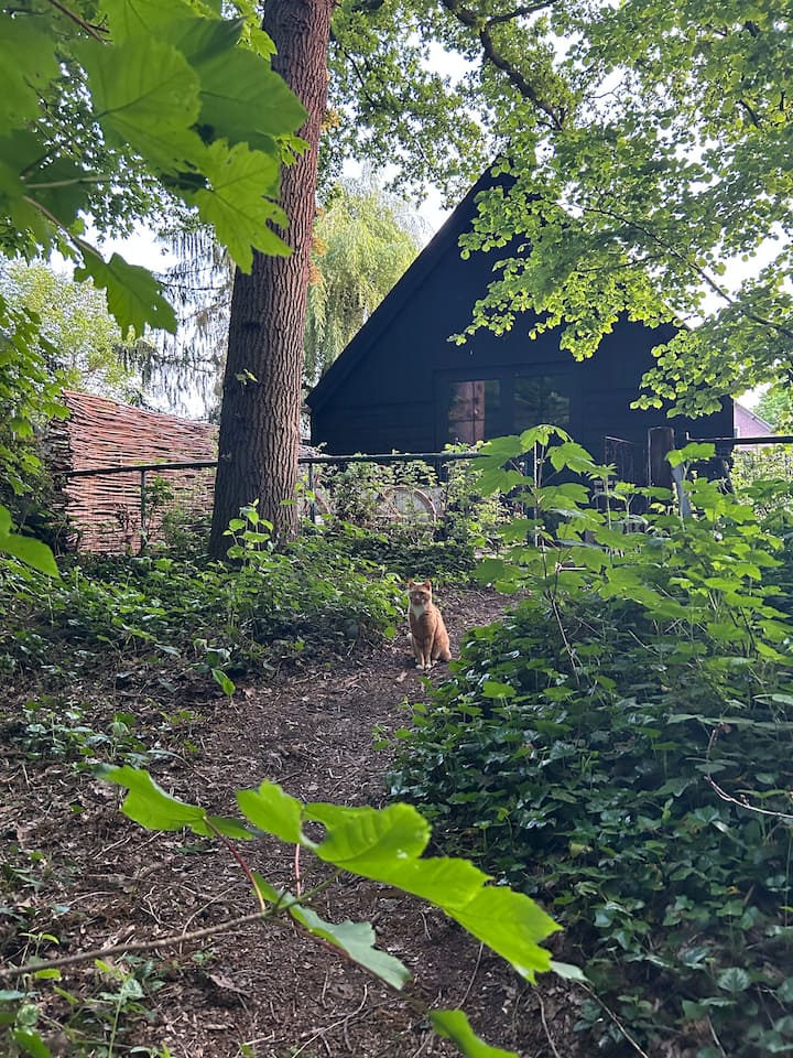 B&b An't Bos Barneveld - Ede