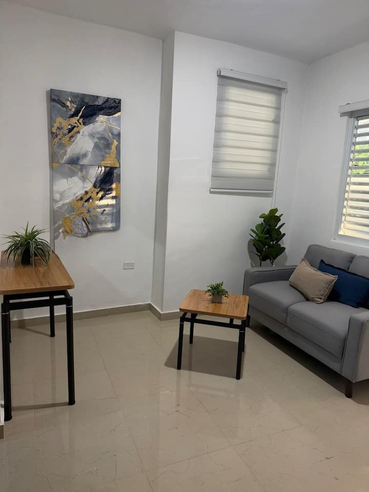 Apartamento 1, Primer Nivel Del Edificio - Guaynabo
