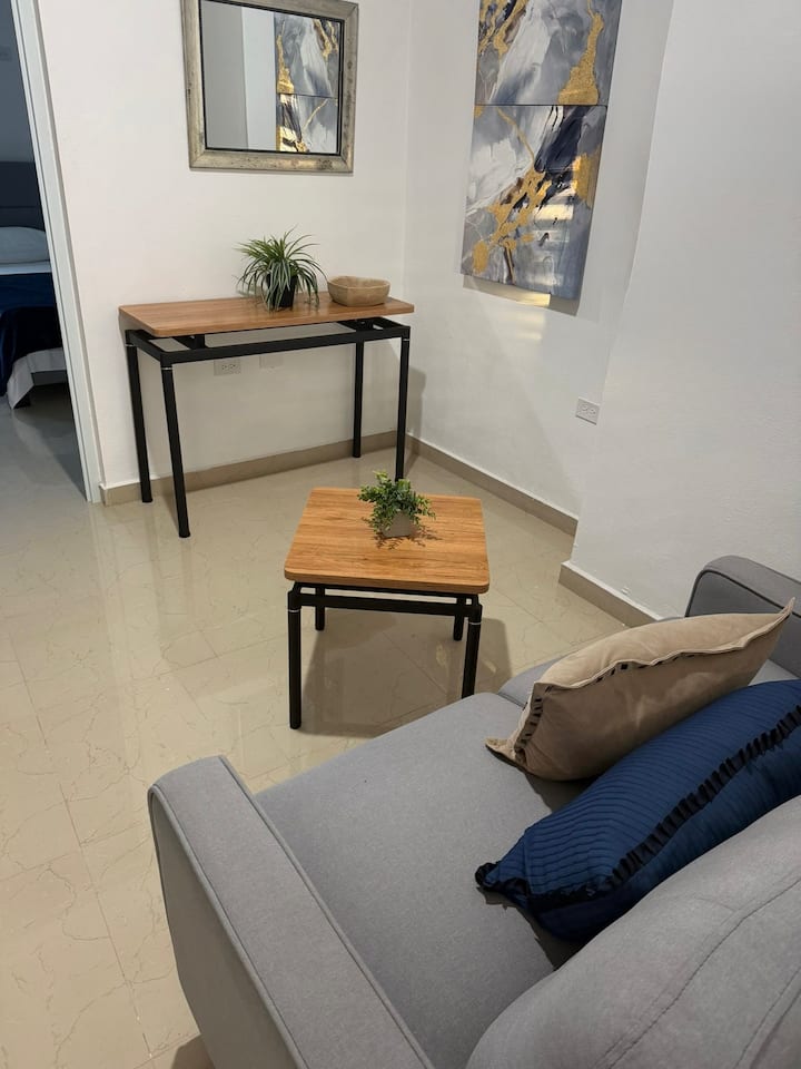 Apartamento 1, Primer Nivel Del Edificio - Bayamón