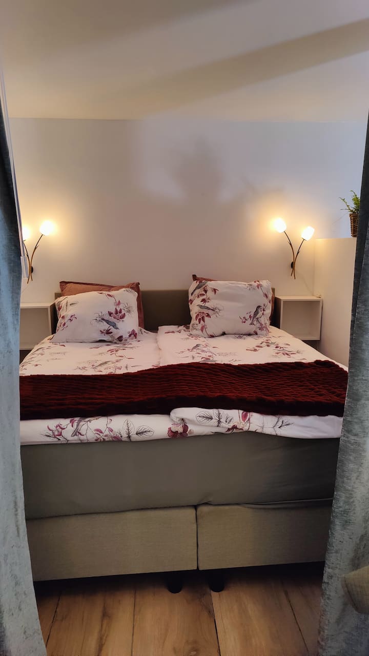 De Dolfijn - Stekene