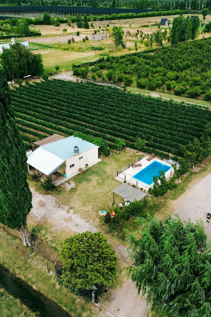 Finca Don Pedro - San Rafael