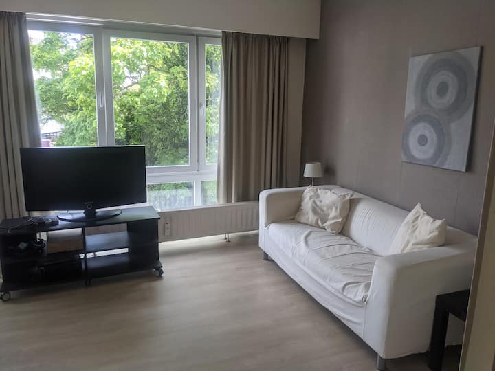 Studio Apartment For Rent In Brussels - Ixelles