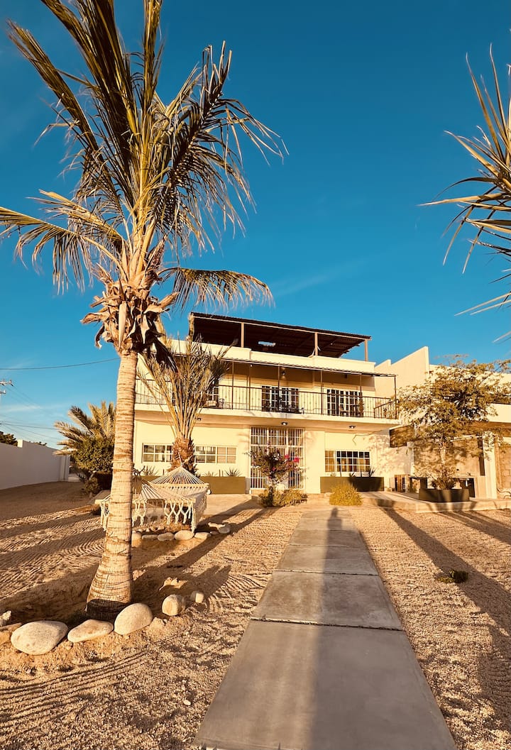 Ocean View Appartment And Rooftop – Walk To Beach - Mexico