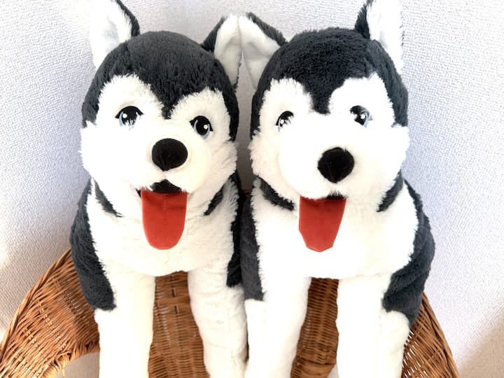 【A9･开业特惠】位置绝佳/32㎡/上野站3分/秋叶原3分/浅草5分/新宿涉谷银座机场直达/wifi - 上野