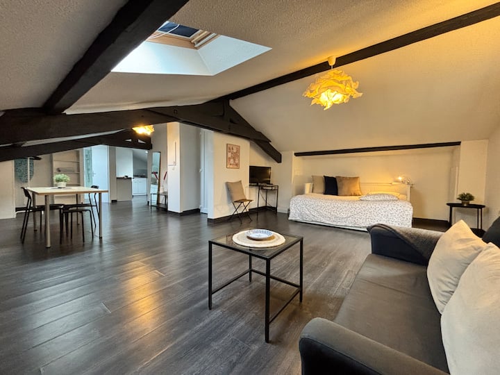La Parenthèse Toulousaine - Loft Spacieux & Calme. - Toulouse