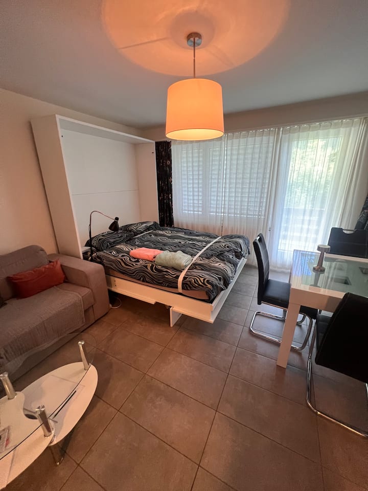 Studio Moderne Dominant La Ville + Parking Gratuit - Kandersteg