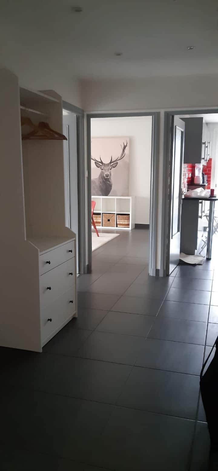 Appartement Lumineux Et Spacieux - Grenoble