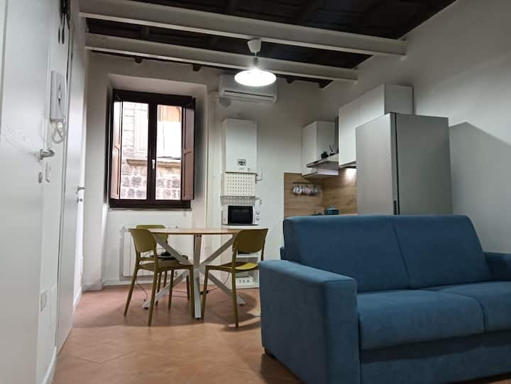 A Casa Di Mape - 비테르보