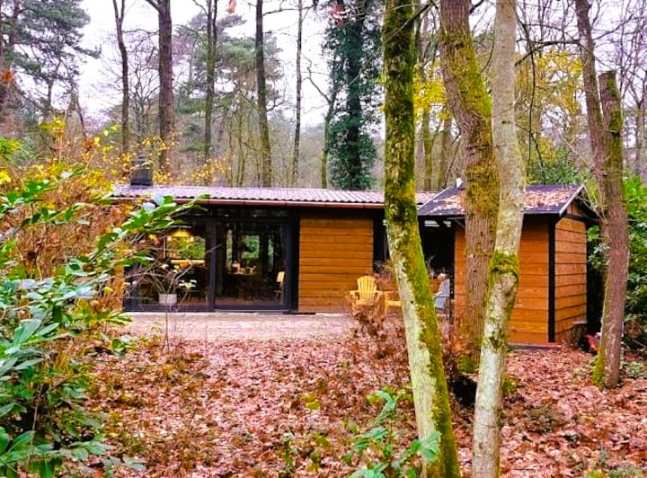 Super Gezellig En Luxe Boschalet. - Wijk bij Duurstede